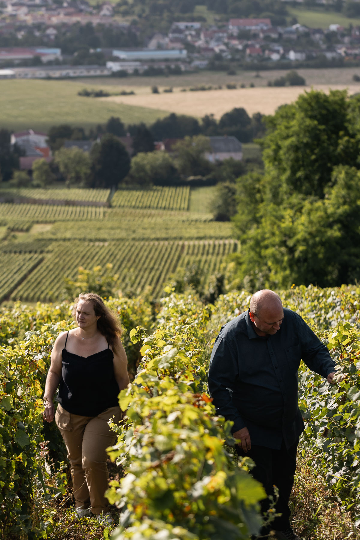 Pour contacter notre Maison | Champagne Jean Hû à Vincelles